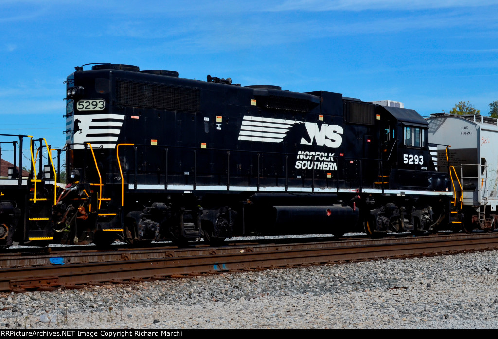 NS 5293